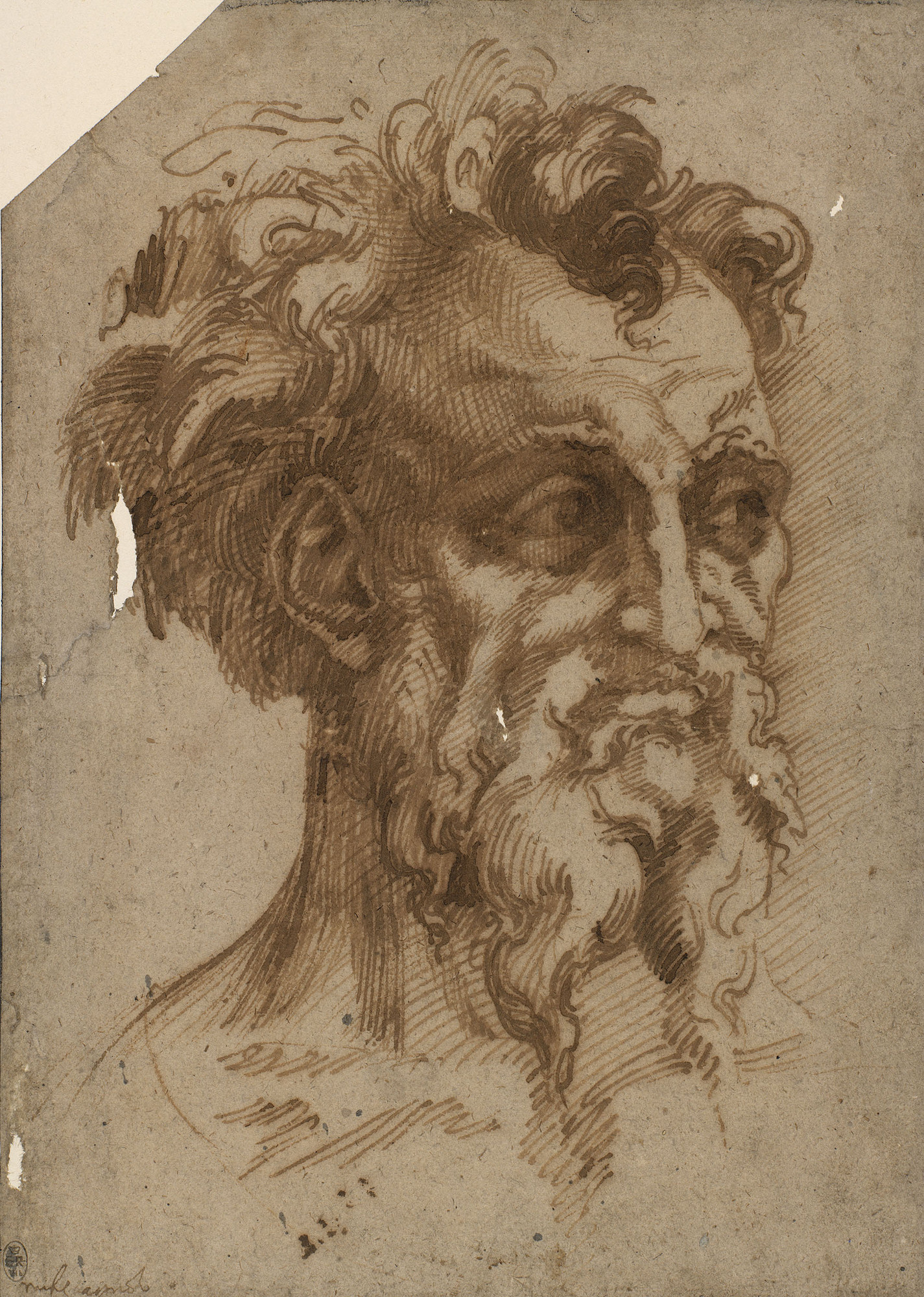 Workshop of Baccio Bandinelli (1493-1560) - The head of Andrea Doria