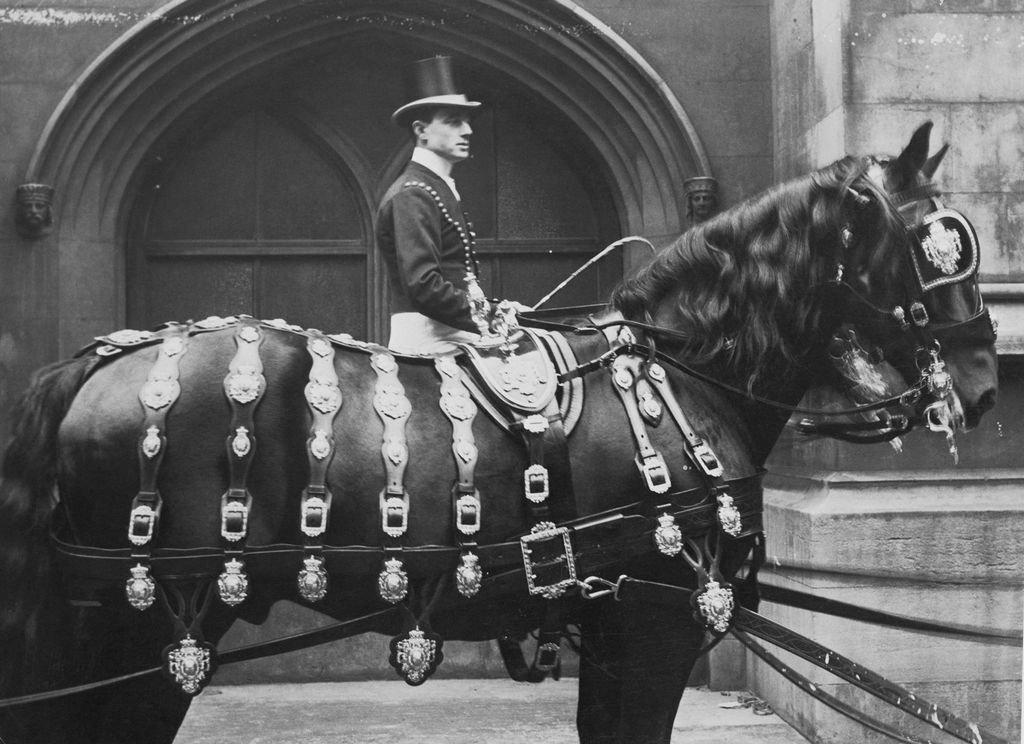 Christina Broom (1862-1939) - Black horse and postilion from the Royal ...