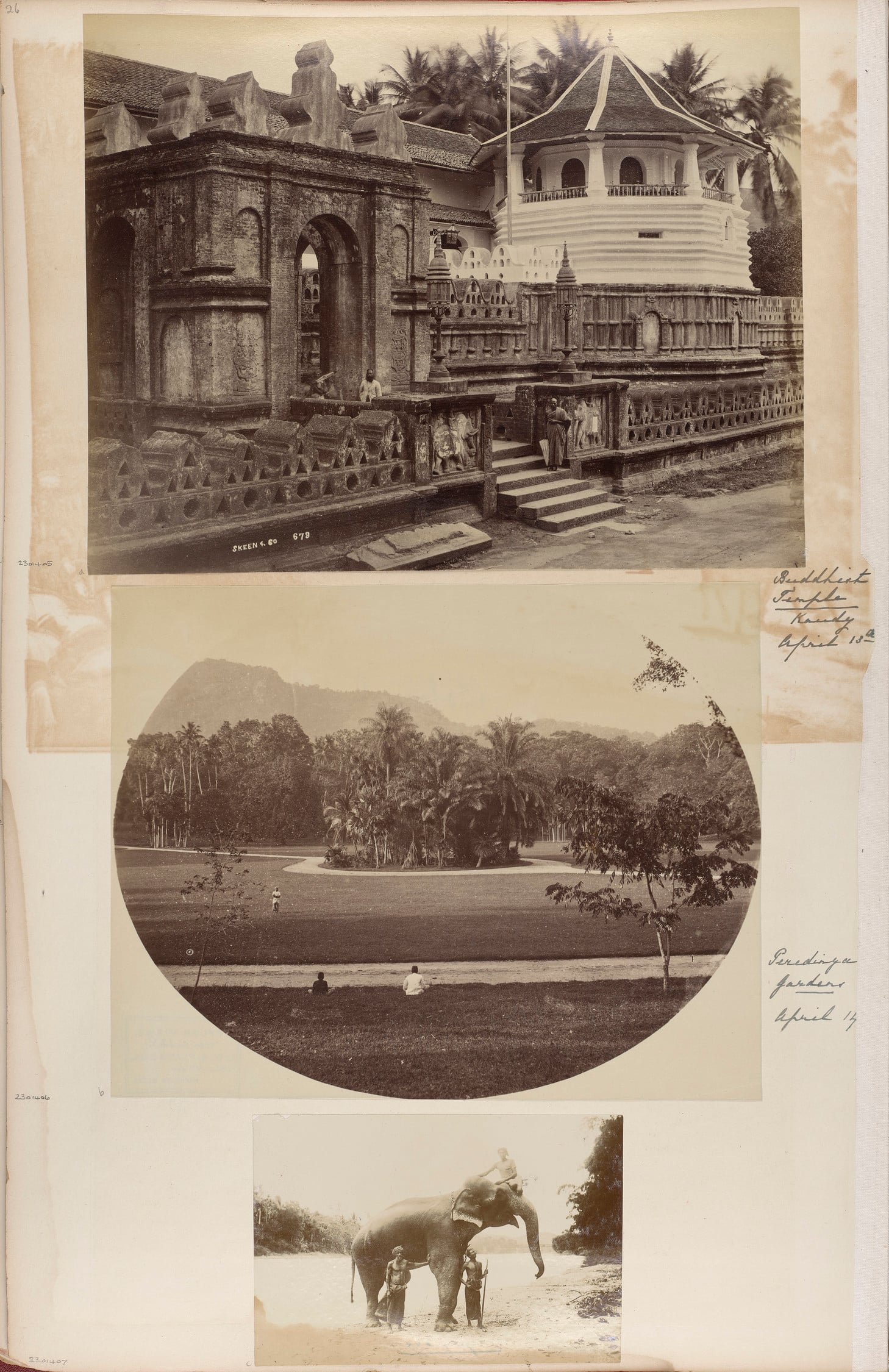 Unknown Person - Peradeniya Gardens, Kandy