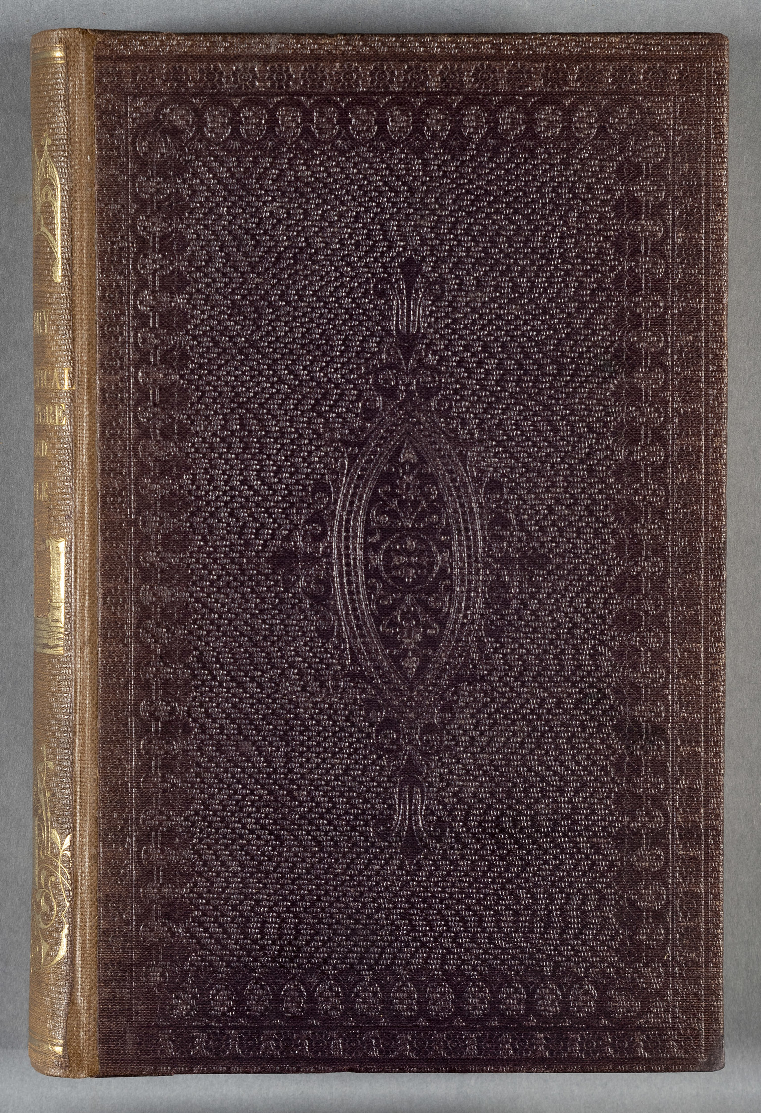 Poole, George Ayliffe - A History of ecclesiastical architecture in ...